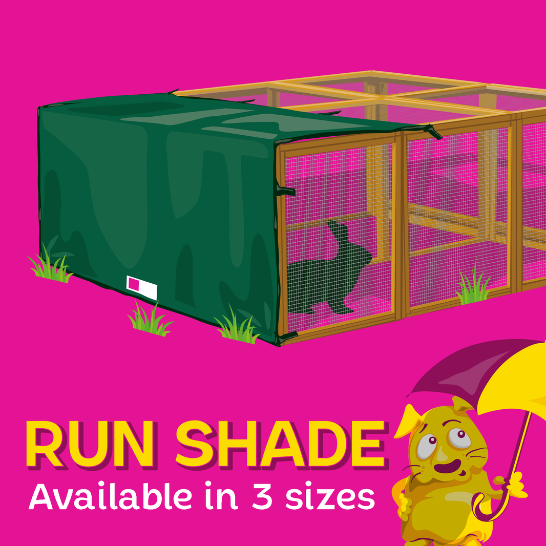 Run Shade Solutions for Your Pets – Scratch and Newton